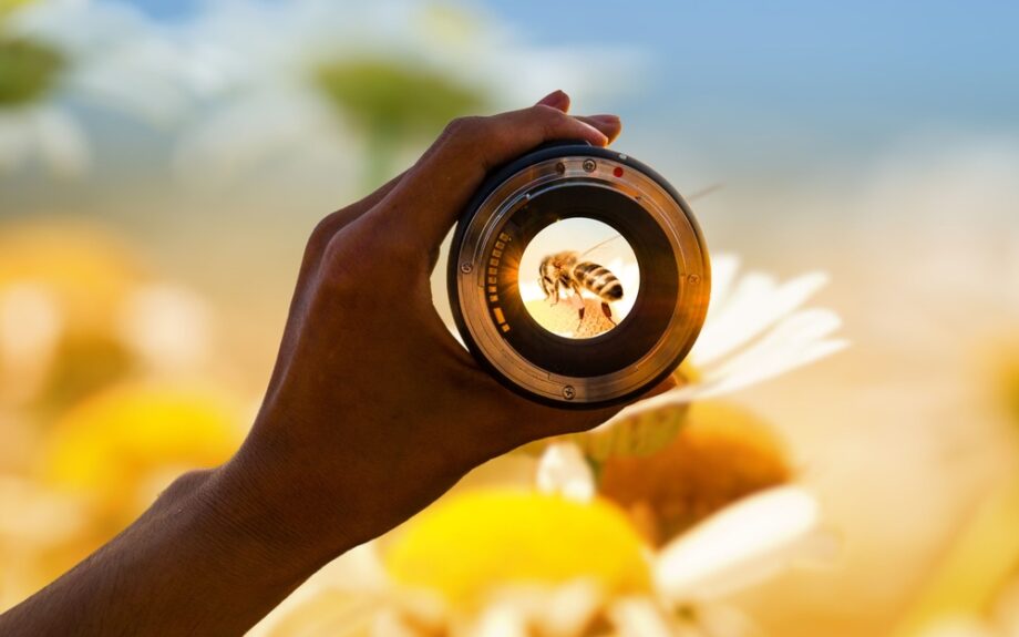 What is Aperture in Photography?