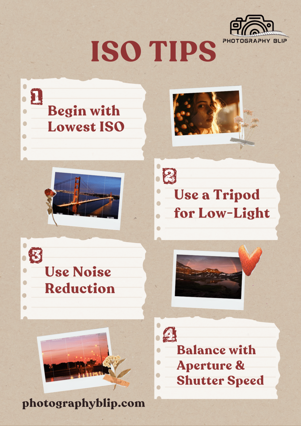 What Is ISO in Photography and How Does It Affect Photos?