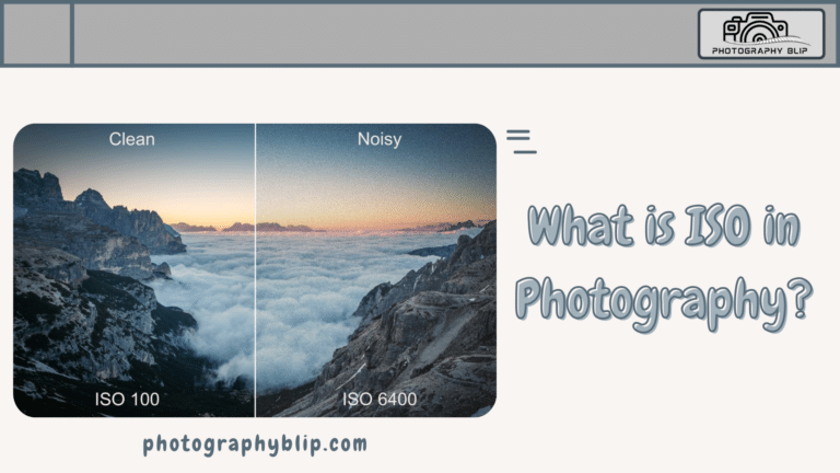 What Is ISO in Photography and How Does It Affect Photos?